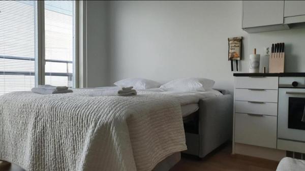 Riverside Apartment With French Balcony - Raisio