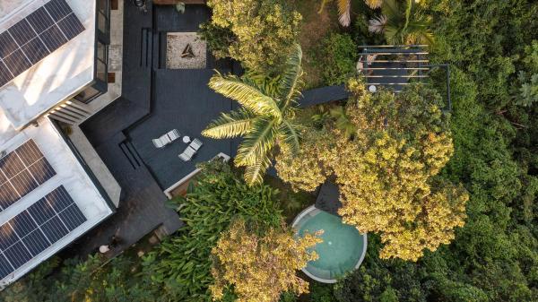 Selva By Dw - Porto Rico