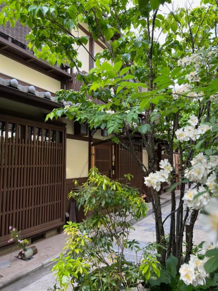 Imakumano Terrace - Dohachi An 道八庵 - Kyoto