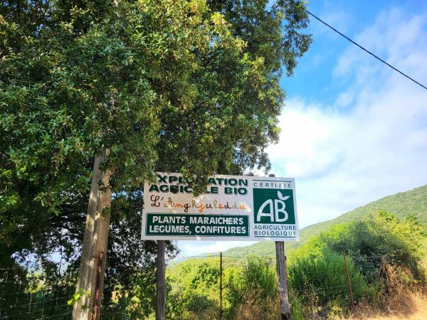 L Anghjuledda 2 - Corse-du-Sud