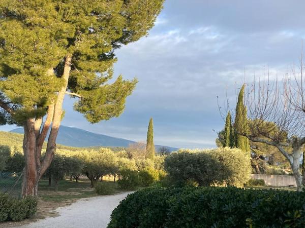 Gîte Au Milieux Des Oliviers. - Carpentras