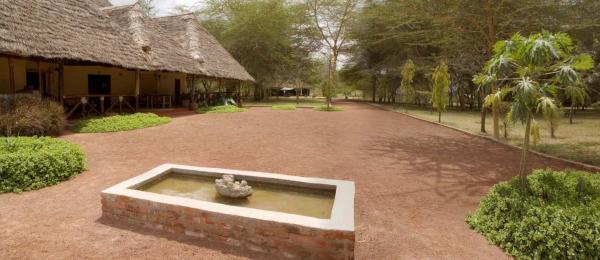Nsya Camp Manyara - Tanzania