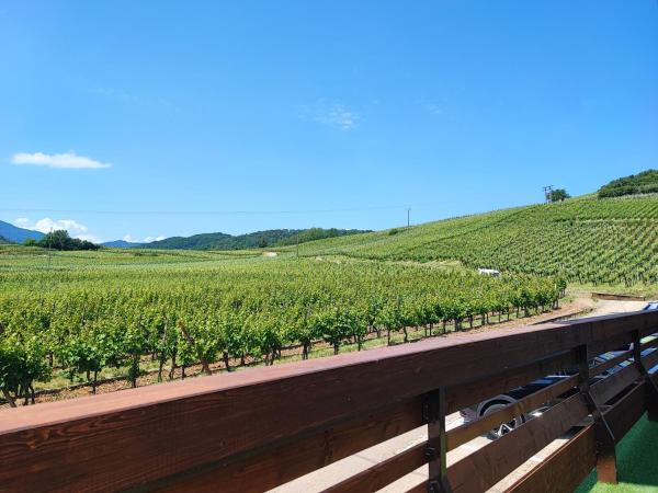 L'altenberg - Bergheim, France