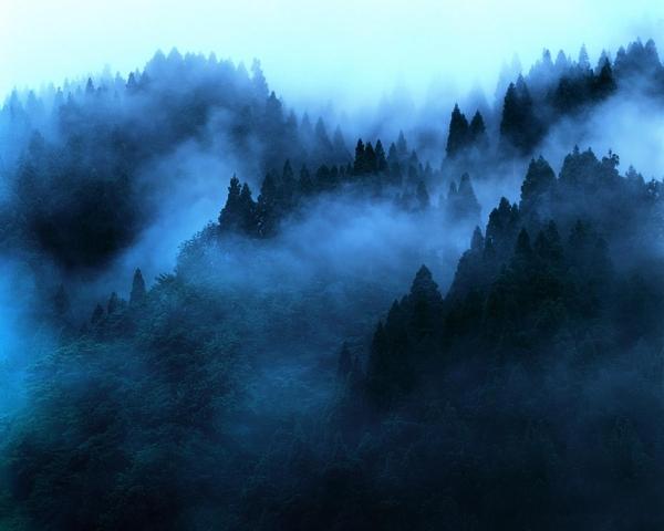 "Mount'n Mist" - Sri Lanka