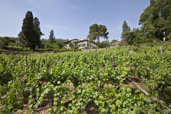 Fattoria Le Vegre - Vicenza