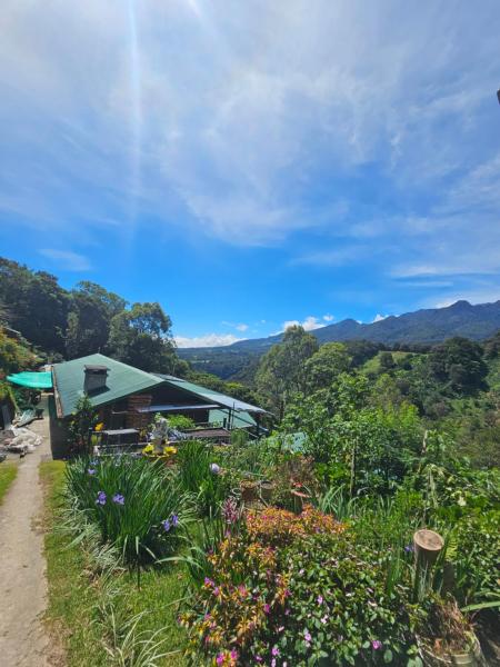 Eco Horqueta - Panama