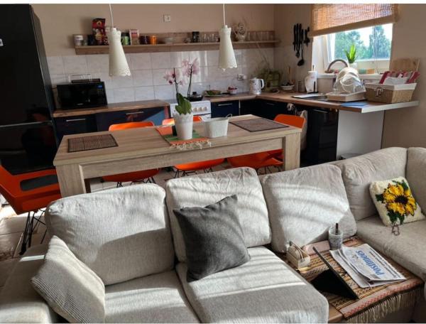Luxurious Specious Appartment - Estonia