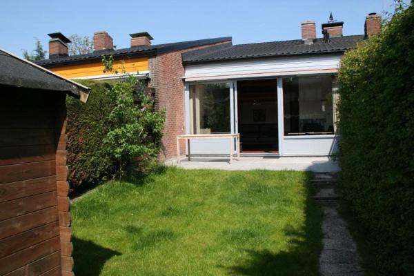 Lepelblad 27* - Nieuwvliet