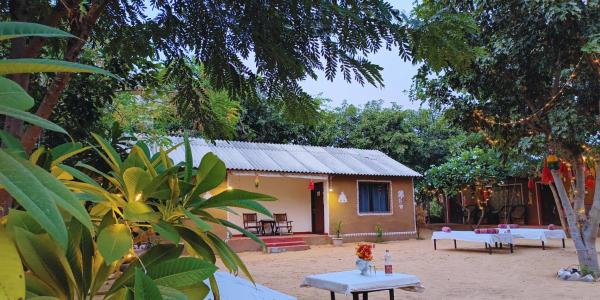 The Narayan Resort Farm Stay - Pushkar