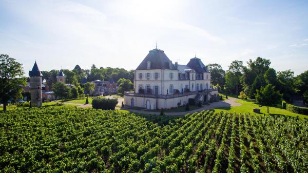 Château & Spa De La Cueillette - Pommard