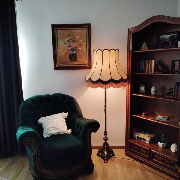 Vintage Central Apartament - Târgu Jiu