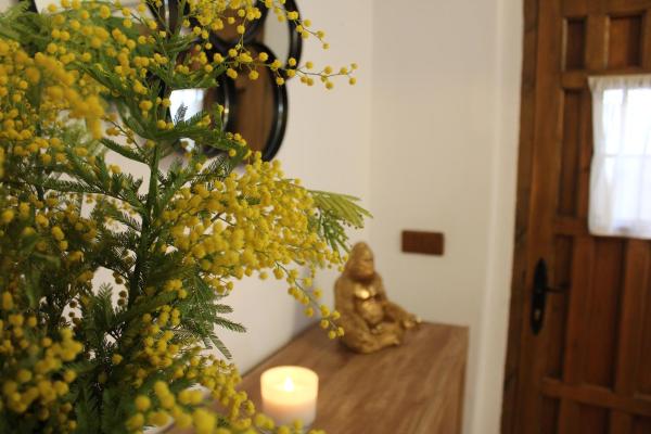 Alojamiento Turistico Lavid - Requena