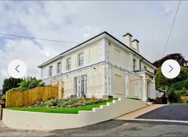 Bay Tree - Tavistock