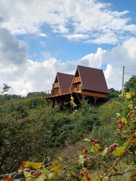Glamping ČElig - Kroatië