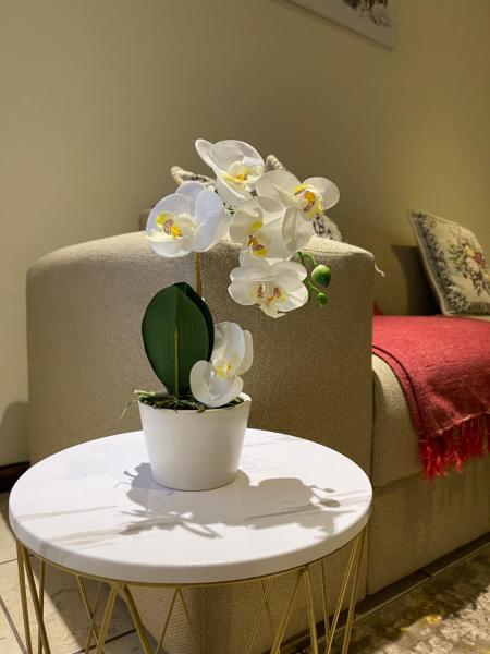 Thorntree Self Catering Apartment, Witbank - Witbank