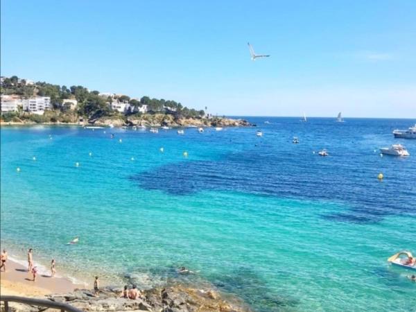 Lujo Frente Al Mar Con Terraza Privada - Es-258-10 - Cadaqués