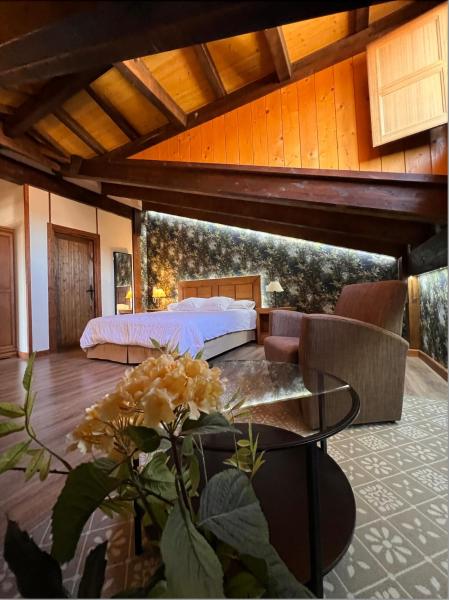 Hotel Rural Restaurante Las Baronas - Aranda de Duero