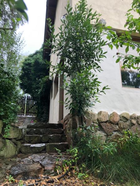 Cabaña Los Sauces - Tandil