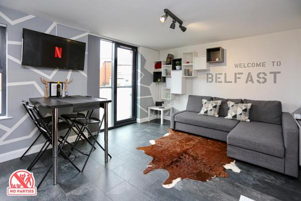 Neat City Apartment - Secure Parking - Wifi - Sleeps 4 - No Parties - Belfast