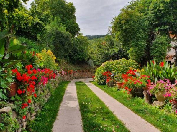 Agrifoglio B&b Con Giardino - Bruncu Spina