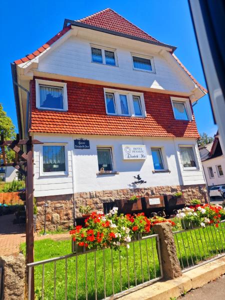 Hotel Elisabeth Ilse - Torfhaus