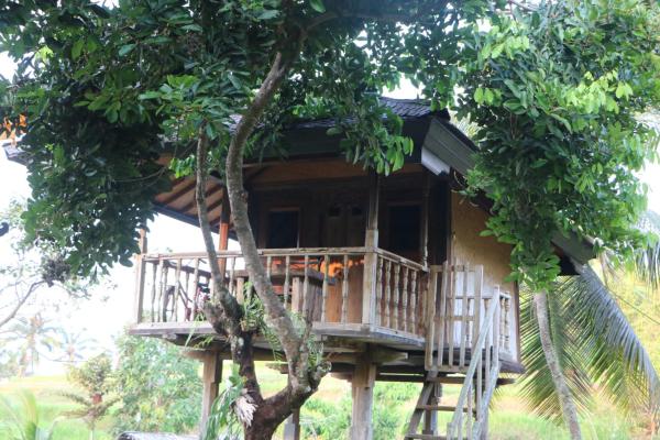 Mesari Cottage Guest House - Munduk