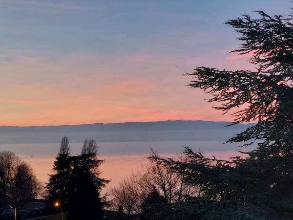 Le Mirabeau Vue Lac - Morges