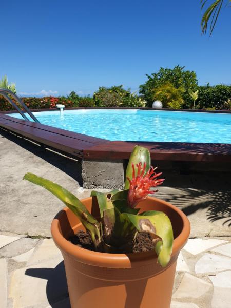 A Ka Lémich - Guadeloupe