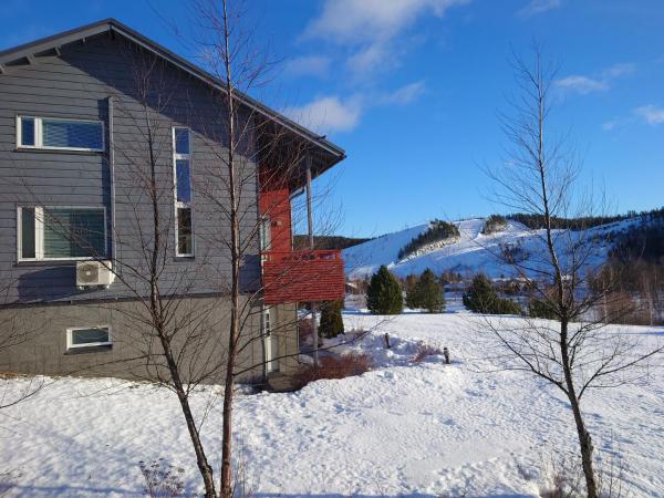 Himos Villa Himalaja - Jämsä