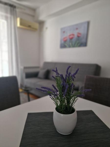 Stan Na Dan 022 - Stara Pazova