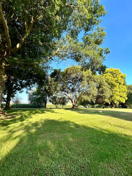 Frankie Cottage - Howick