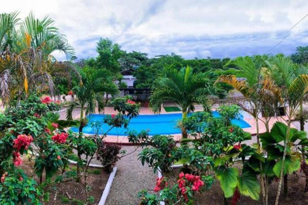 Paradise Lodge - Napo