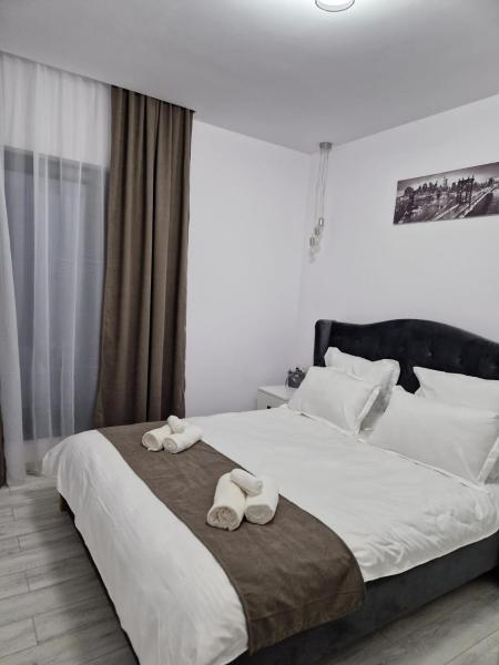 Tag Apartament - Timișoara