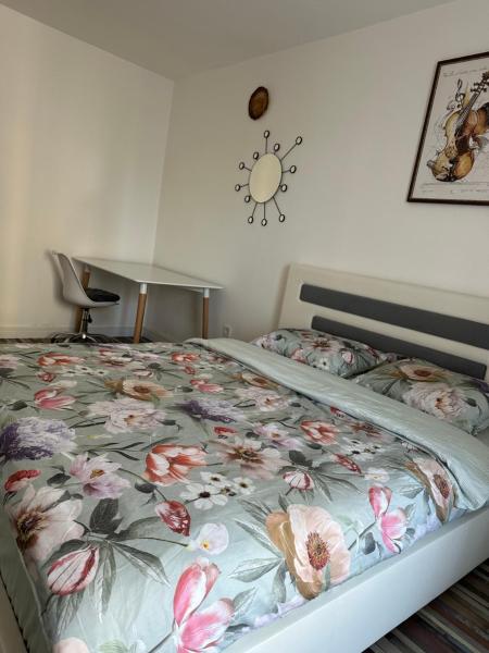 Podgorica Great Location - Montenegro