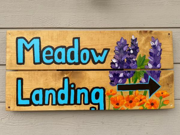 Meadow Landing - California