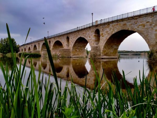 Hotel Puente De Piedra - Zamora