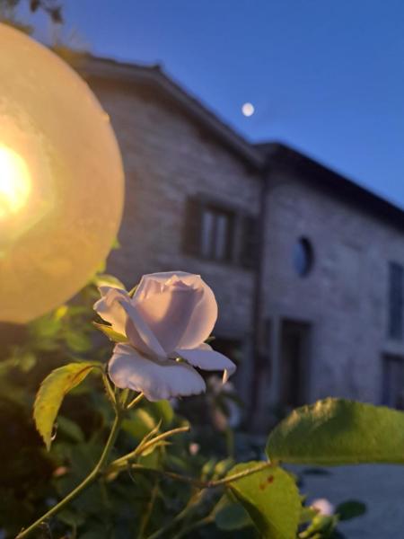Agriturismo Il Raggio Di Sole Di Orpello - Marcas