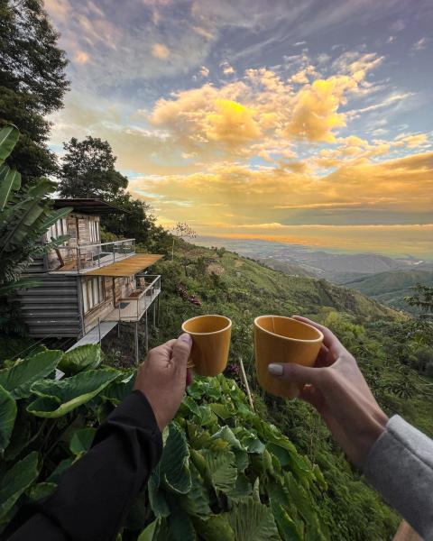 Montana Posada - Tolima