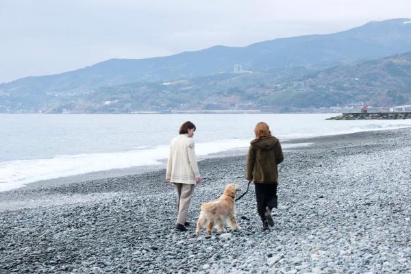 いぬと海辺 - Odawara