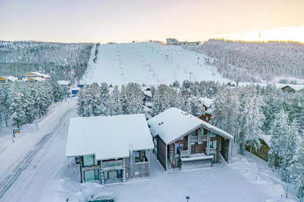 Levi Platinum Aurora - Sirkka