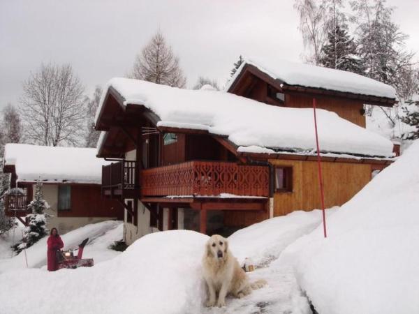 Beau Chalet Au Départ Des Pistes - Chalet 6 Pièces 10 Personnes Mae-4869 - Aime