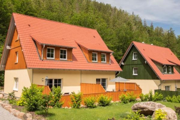 Ferienhäuser Ilsestein Doppelhaus, 100 Qm, 3 Schlafzimmer - Bad Harzburg