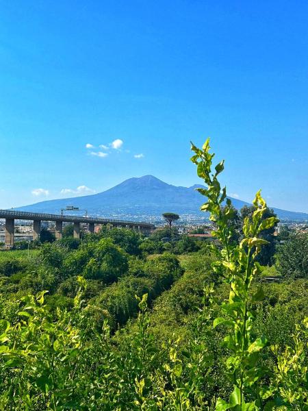 La Penisola - Positano