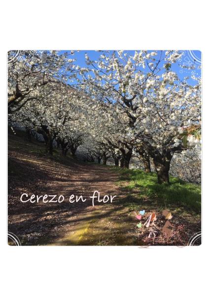 Apto Rural Fragaria - Valle Del Ambroz - Entorno Natural úNico "Alquiler Familiar" - Espagne