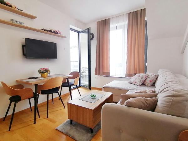 Apartman Andjelkovic - Sokobanja