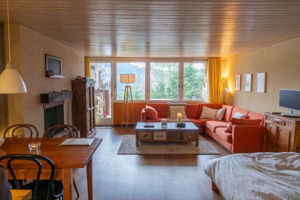 Cosy Studio On The Ski Slopes - Gryon