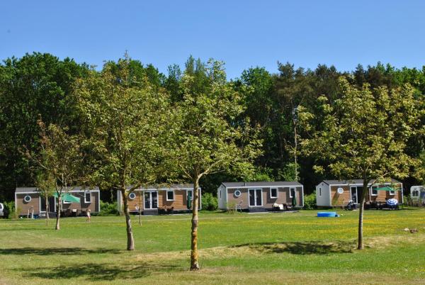 Camping De Reeënwissel - Drente