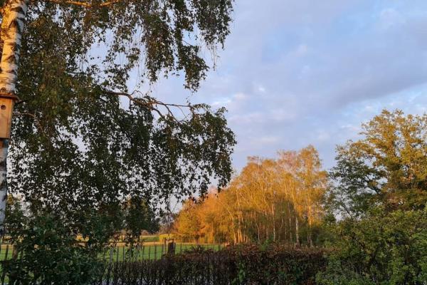 Landelijke Trekkershut - Zutphen