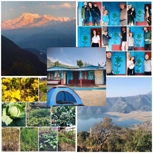 Hom's Homestay & Farmstay Sarangkot Pokhara - Pokhara
