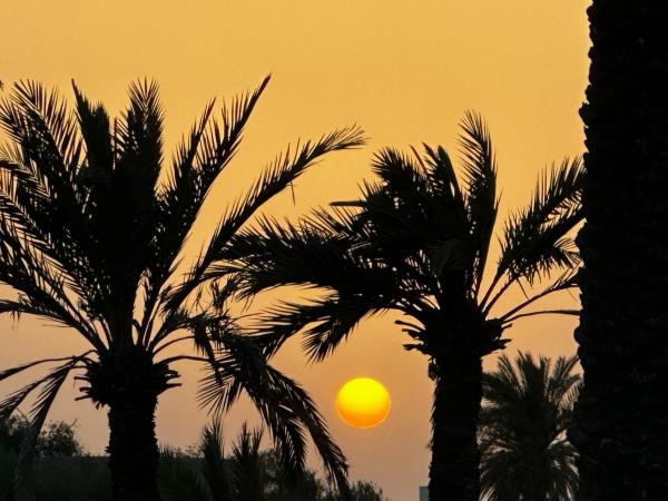 Riad Chachia - Djerba